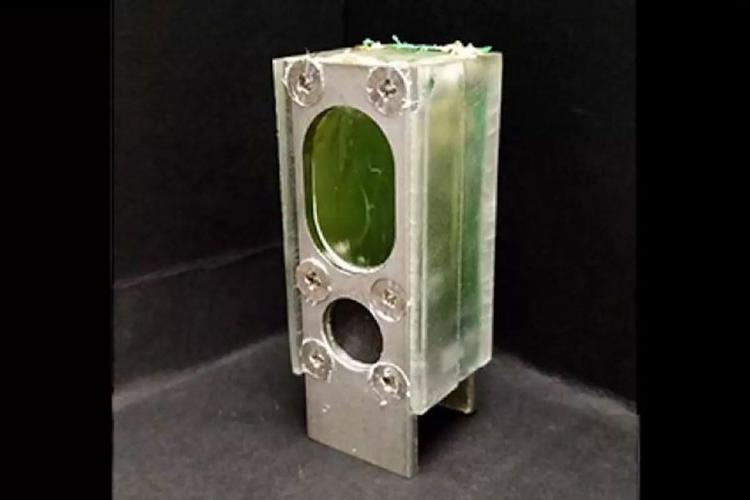 An electric battery with algae is powered on an Arm chip for a year ...