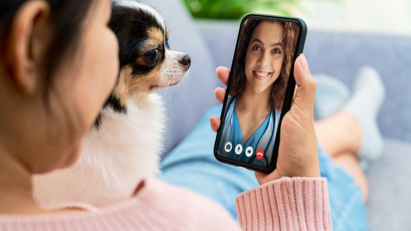 Telus Health expands virtual veterinary services to Ontario - Game News 24